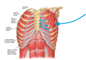 Chest Pain Causes, Symptoms and Treatment - Urgent Care in Ypsilanti