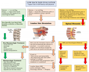 Low Back Pain - Medical Care One